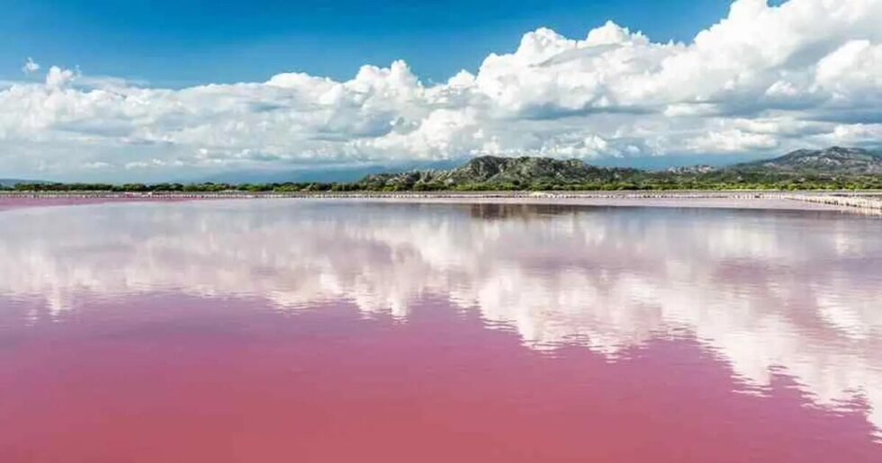 Los 5 lagos color rosado que te dejarán sin aliento - Millas x el mundo